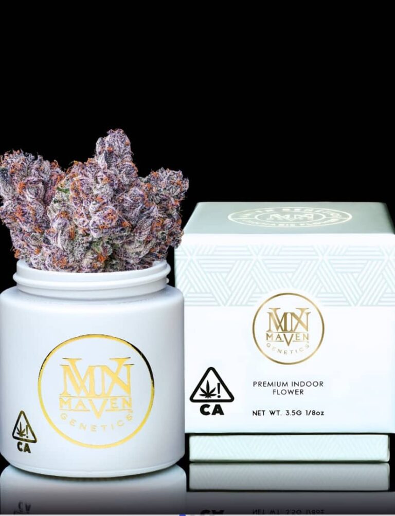 Maven Genetics Chrome Dome